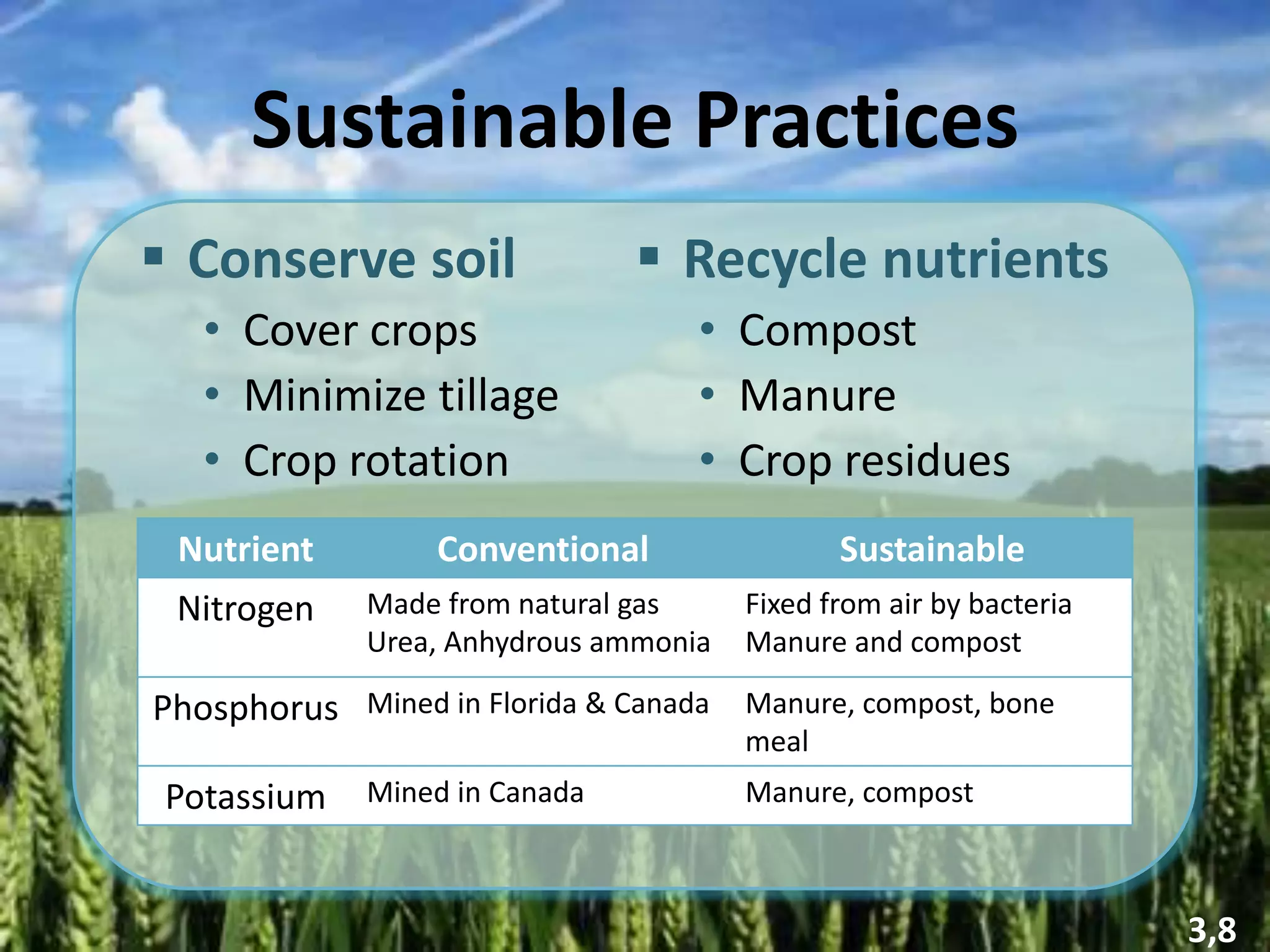 Sustainable Agriculture Presentation | PPTX
