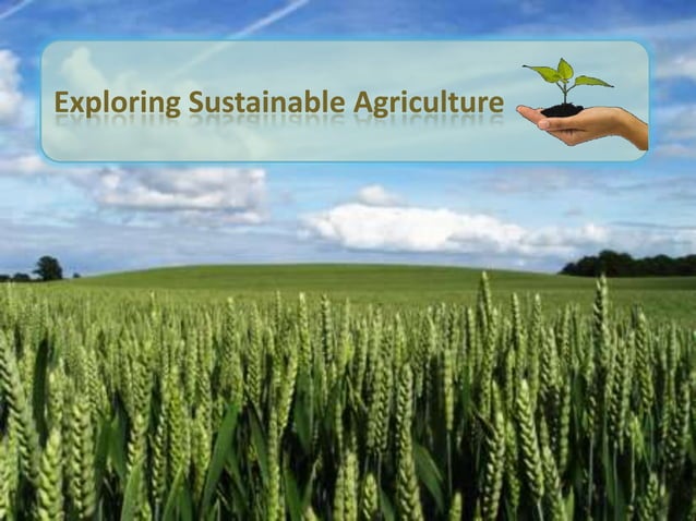 Sustainable Agriculture Presentation | PPTX | Agriculture | Industries