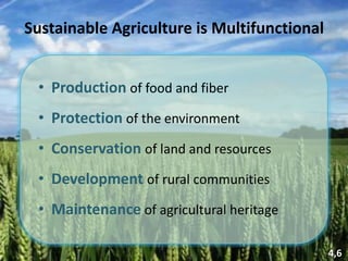 Sustainable Agriculture Presentation | PPTX
