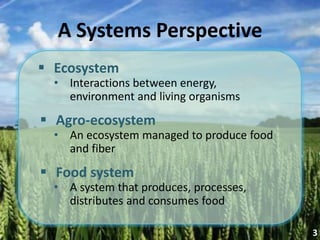 Sustainable Agriculture Presentation | PPTX