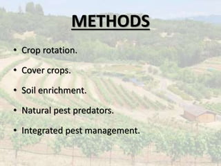 Sustainable agriculture presentation | PPTX