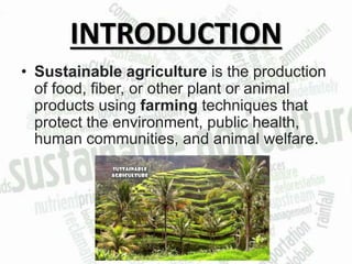 Sustainable Agriculture Introduction