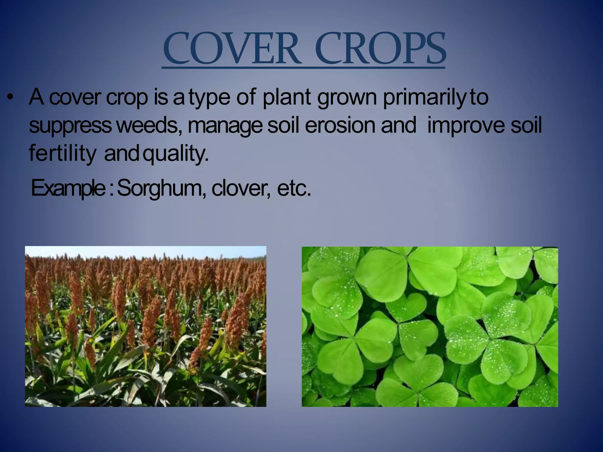 Soil Fertility and Sustainable agriculture | PPTX