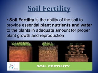 Soil Fertility and Sustainable agriculture | PPTX