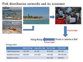Sustainable and healthy live reef food fish | PPT