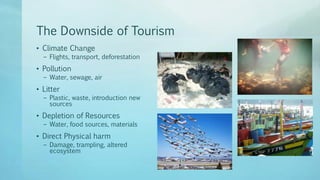 Sustainable Tourism; What it is and how you can do it | PPTX