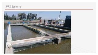 Sustainable Aquaculture | PPTX