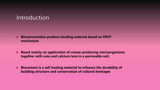 Sustainable Biocement Production Using Microbes.pptx