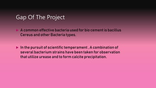 Sustainable Biocement Production Using Microbes.pptx