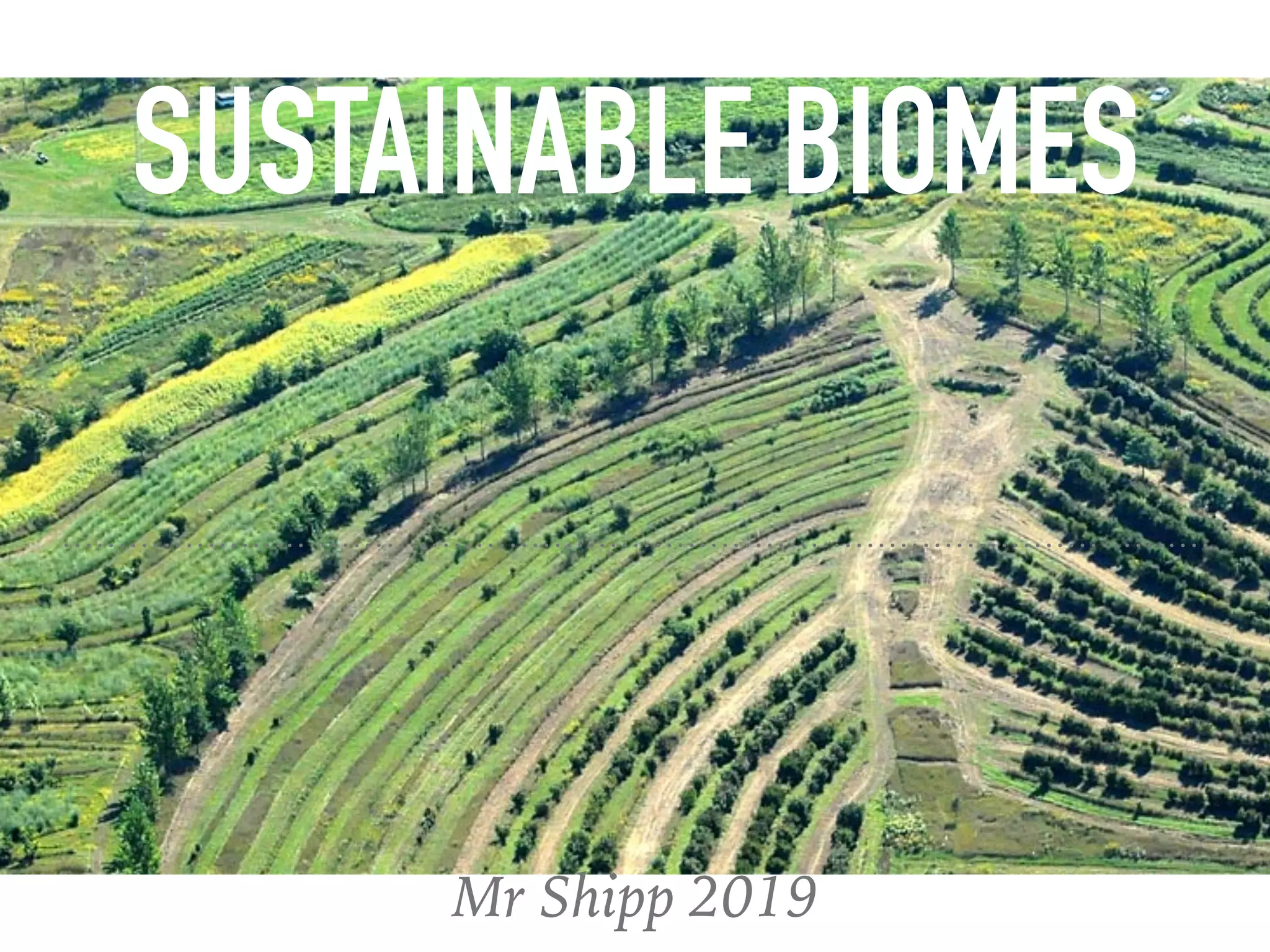 Sustainable biomes | PDF