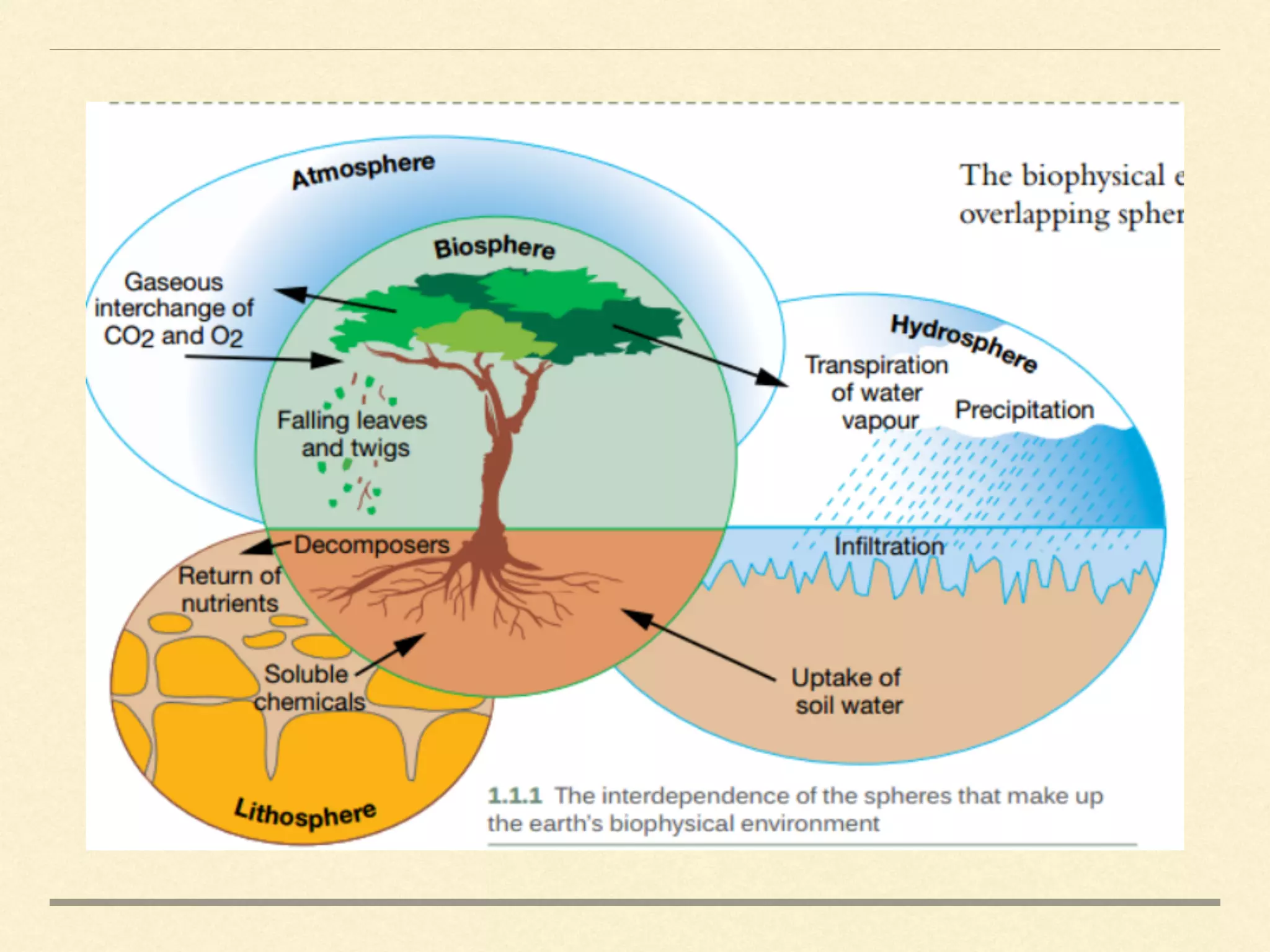Sustainable biomes | PDF