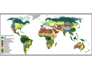 Sustainable biomes | PDF