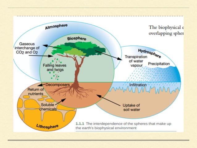 Sustainable biomes | PPT