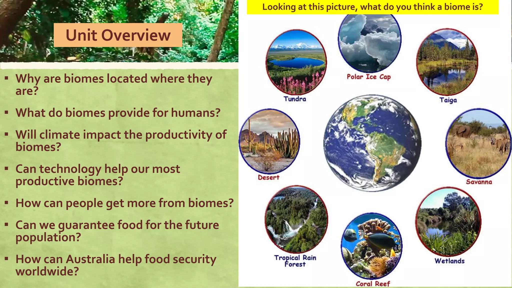 Sustainable Biomes.pptx