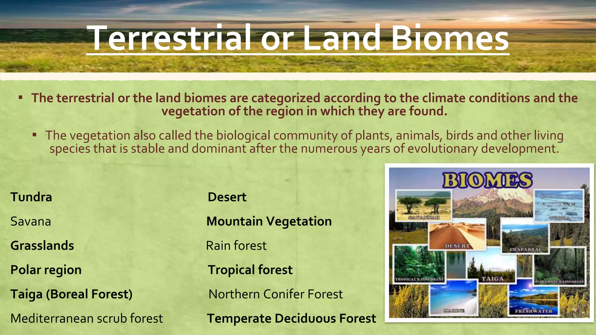 Sustainable Biomes.pptx