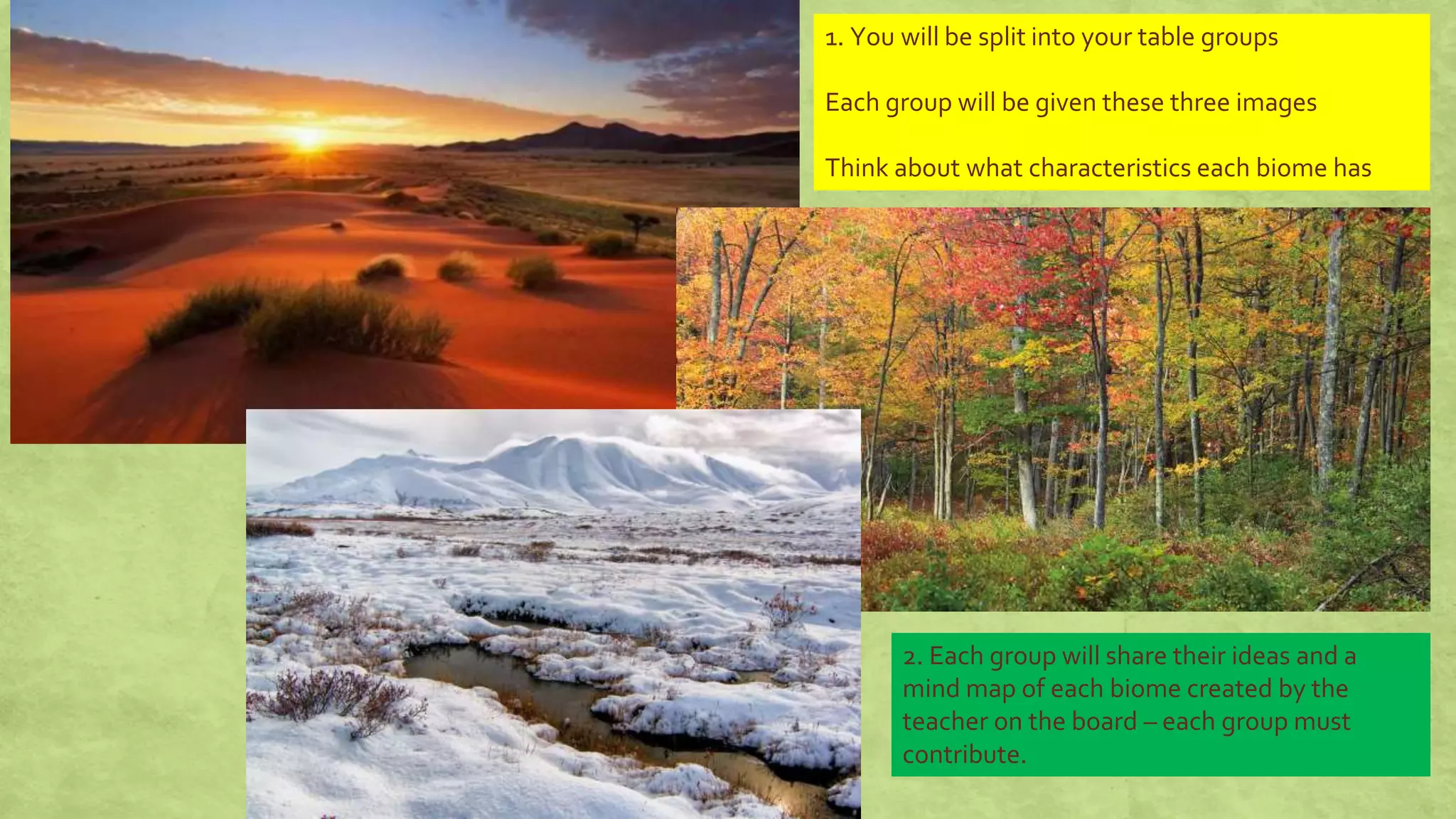 Sustainable Biomes.pptx