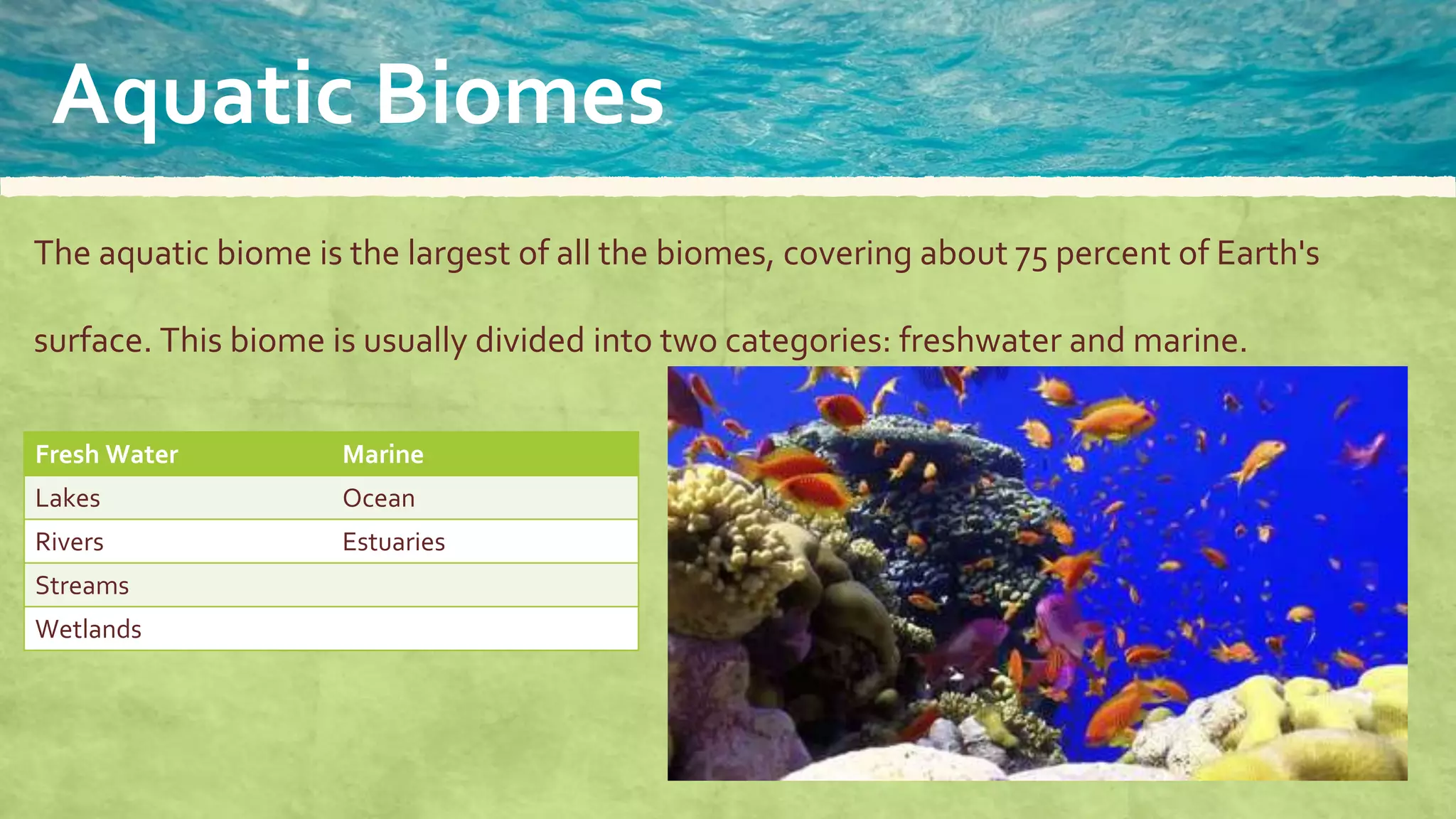 Sustainable Biomes.pptx