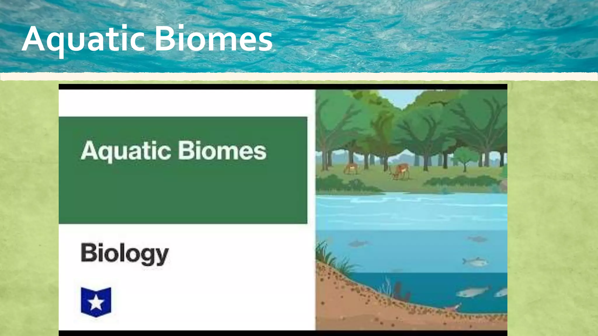 Sustainable Biomes.pptx