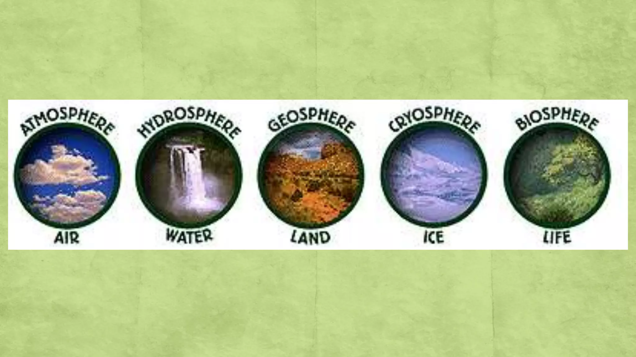 Sustainable Biomes.pptx