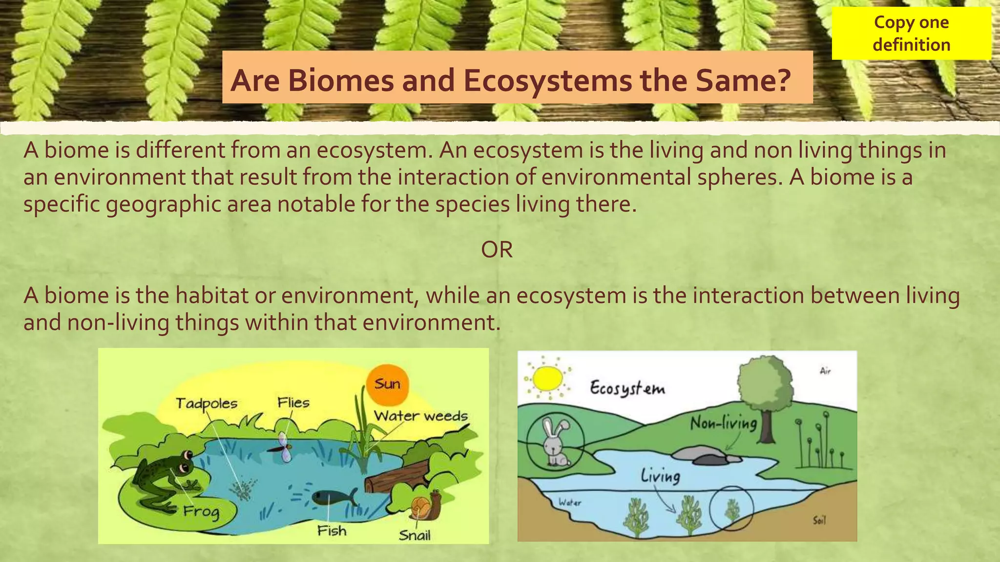 Sustainable Biomes.pptx