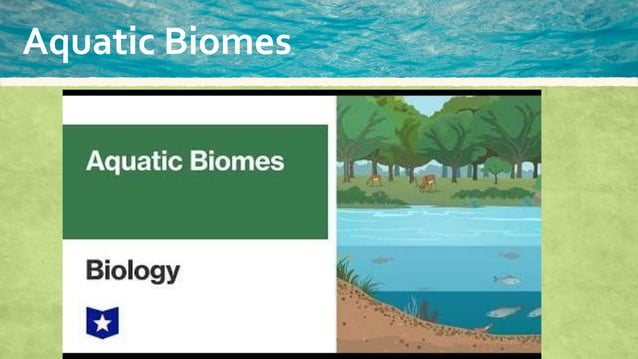 Sustainable Biomes.pptx