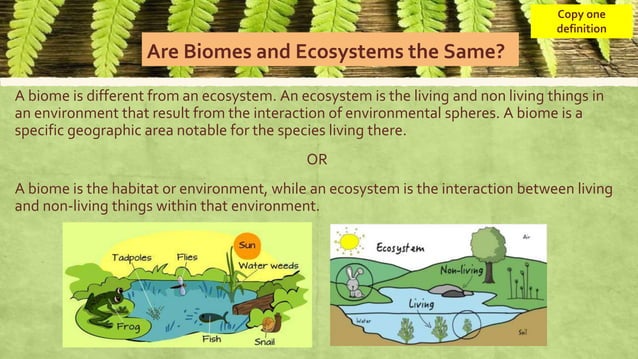 Sustainable Biomes.pptx