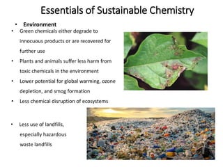 Sustainable chemistry | PDF