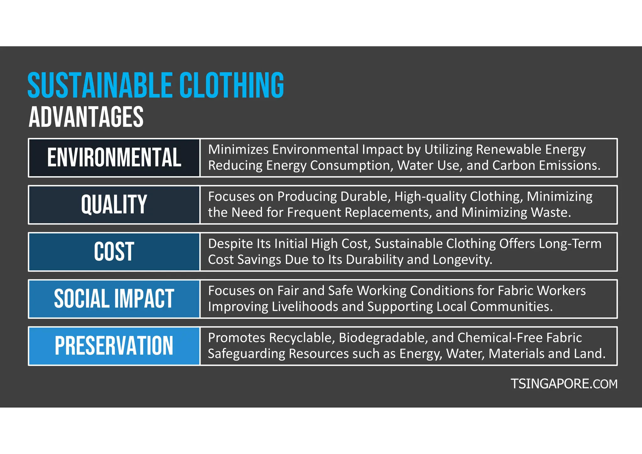 Sustainable Clothing Strategies and Challenges | PDF
