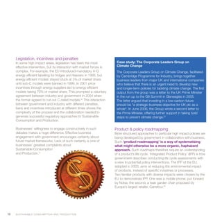 Sustainable Consumption | PDF