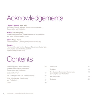 Sustainable Consumption | PDF