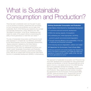 Sustainable Consumption | PDF