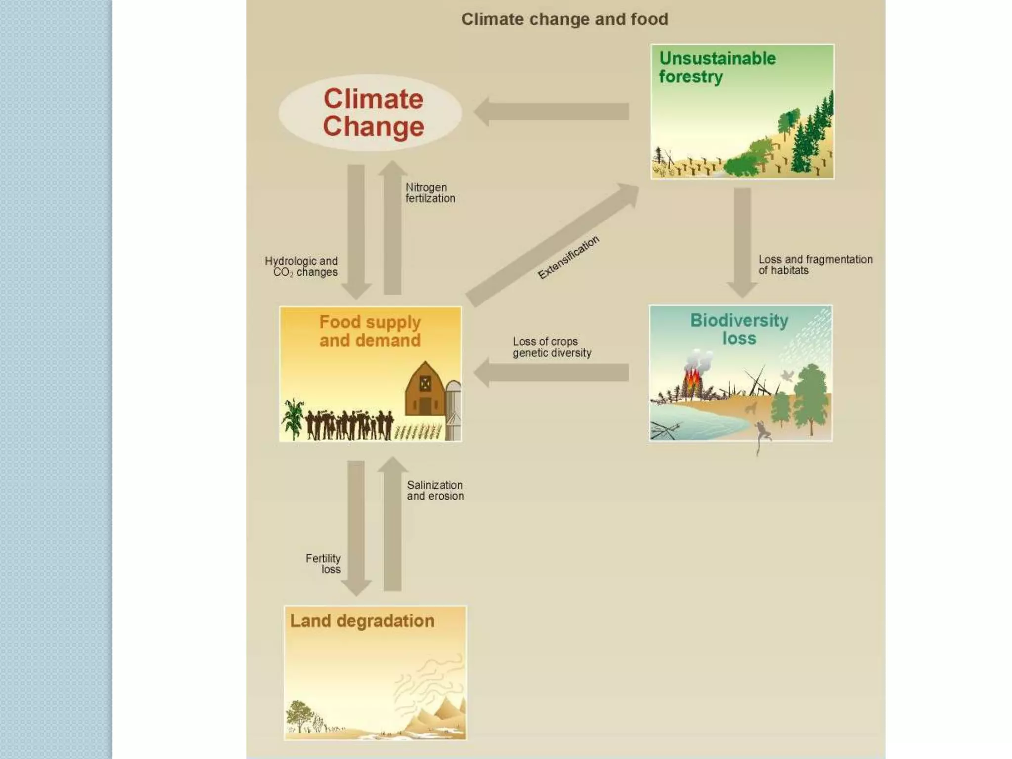 Sustainable consumption and production climate change | PPTX