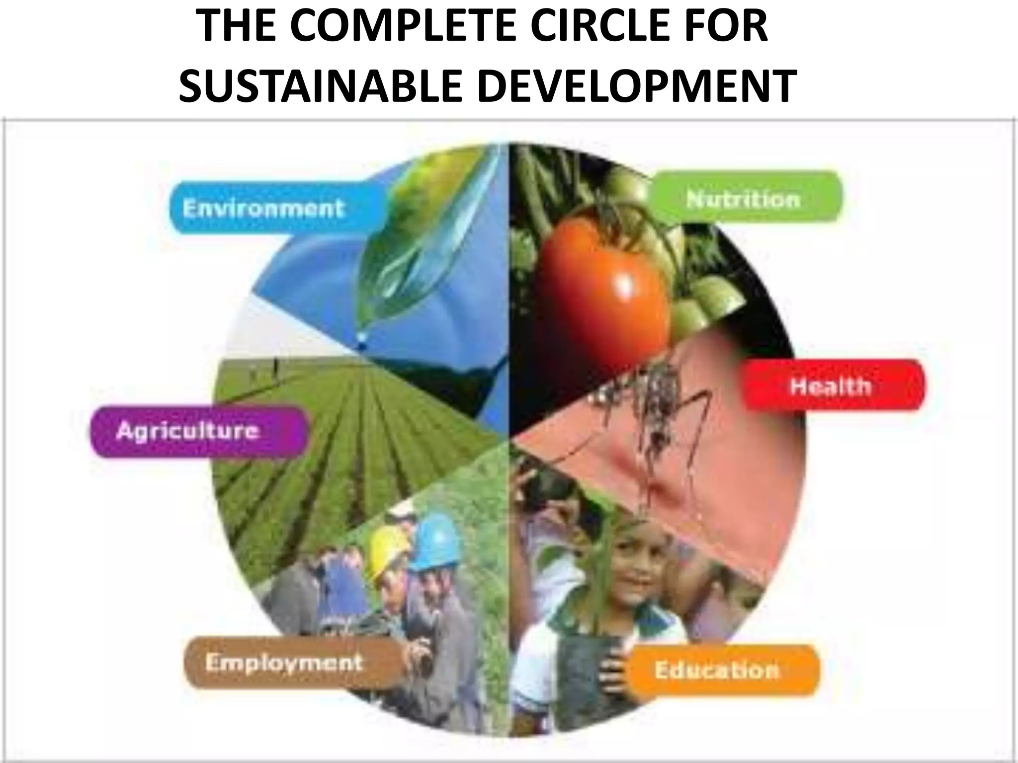 THE CONCEPT OF SUSTAINABLE DEVELOPMENT | PPTX