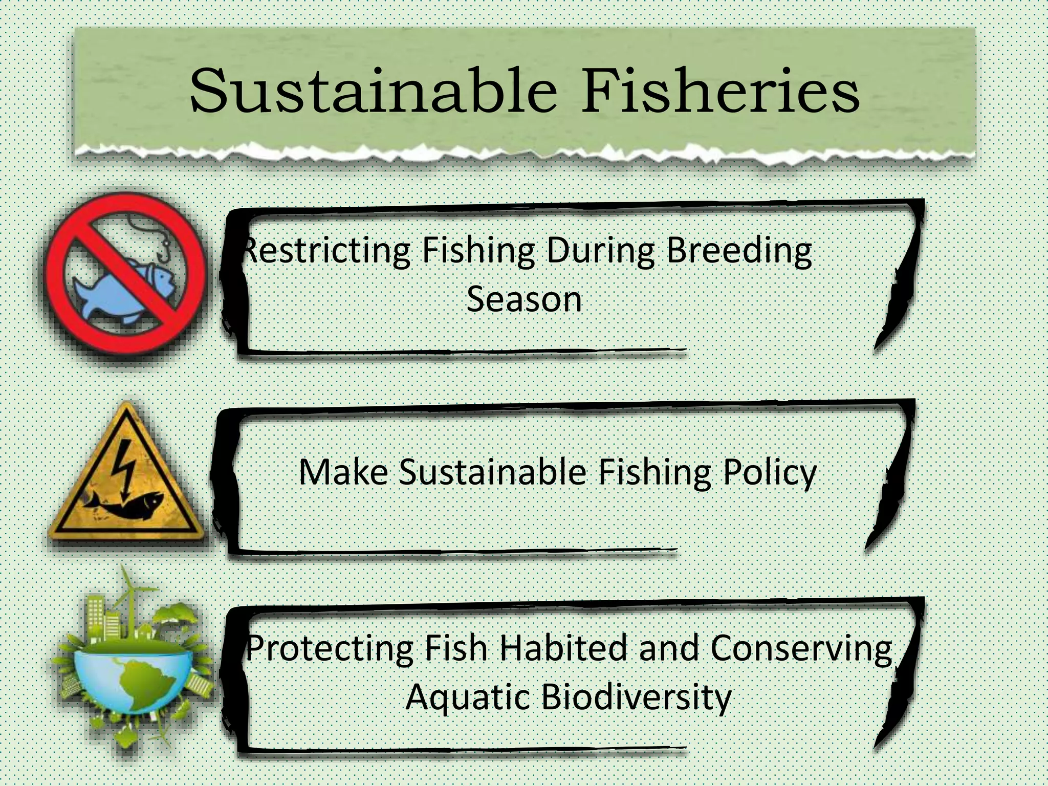 Sustainable Consumption and Production Patterns (SDG's 12) | PPTX