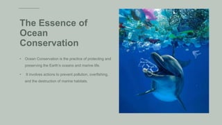 Sustainable Development Presentation.pptx