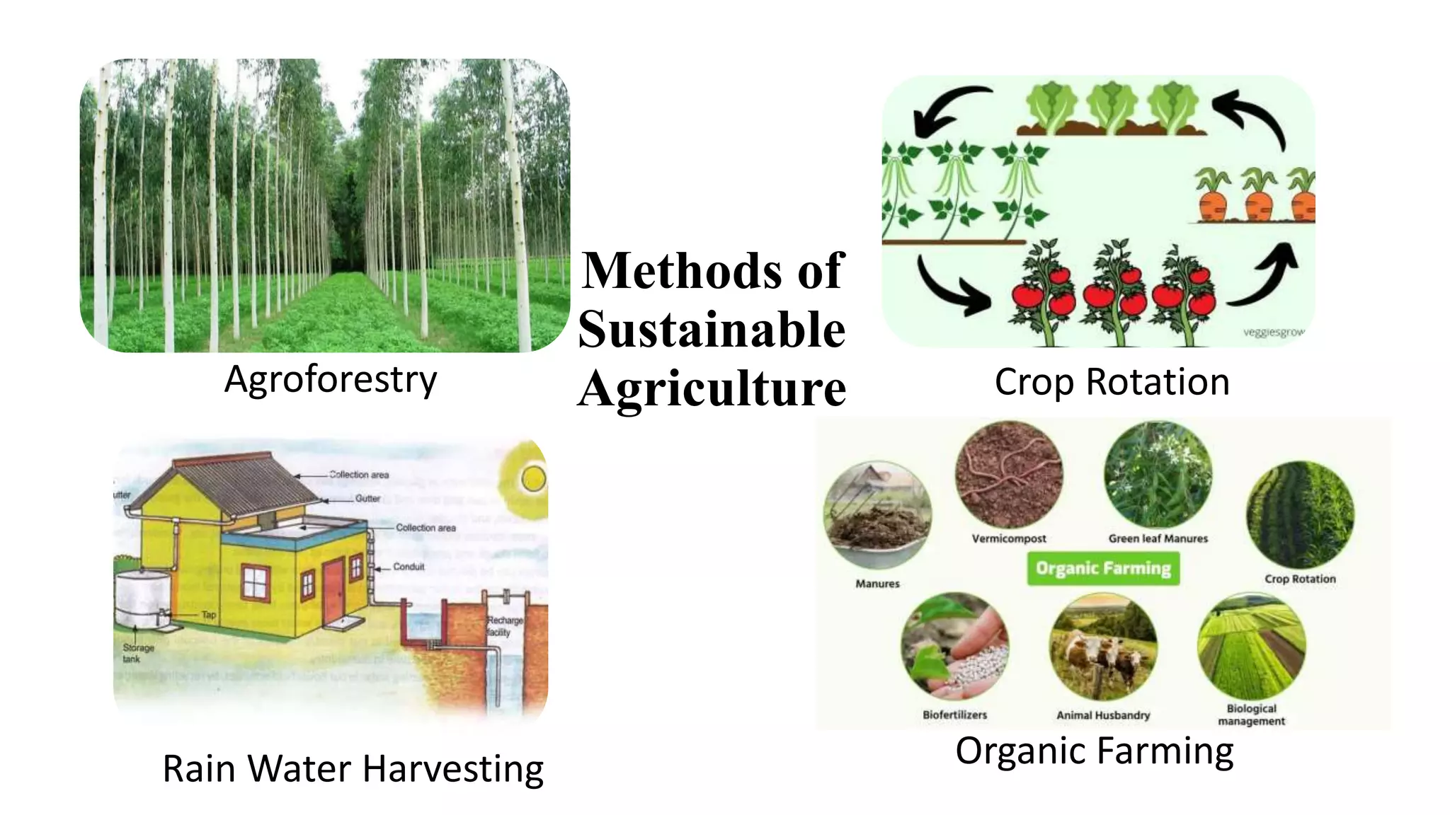 sustainable development and precision farming.pptx