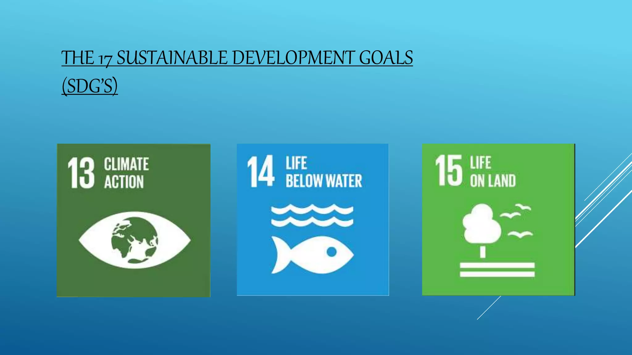 Sustainable Development Class 10.pptx