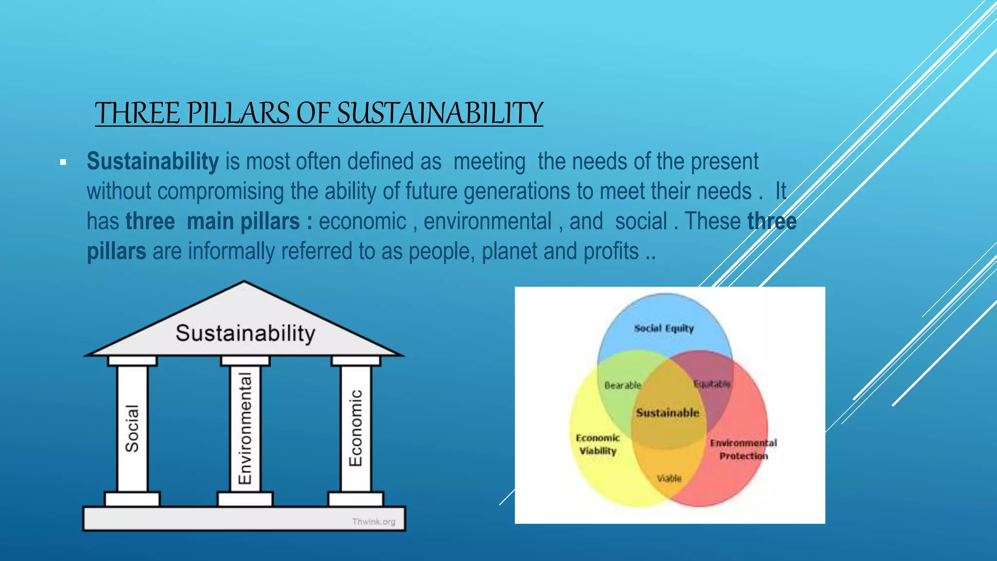Sustainable Development Class 10.pptx