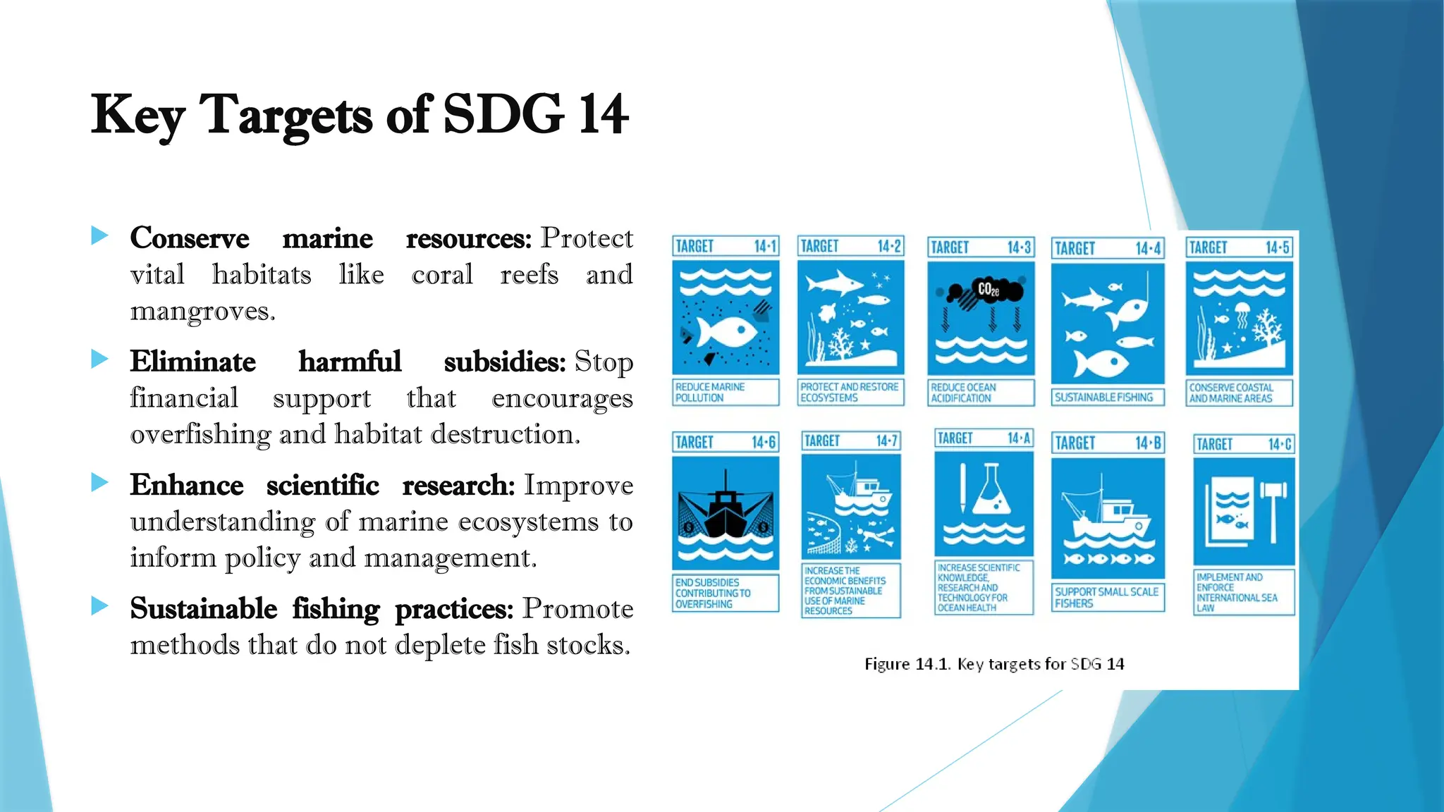 Case Study on Sustainable Development Goal 14.pptx