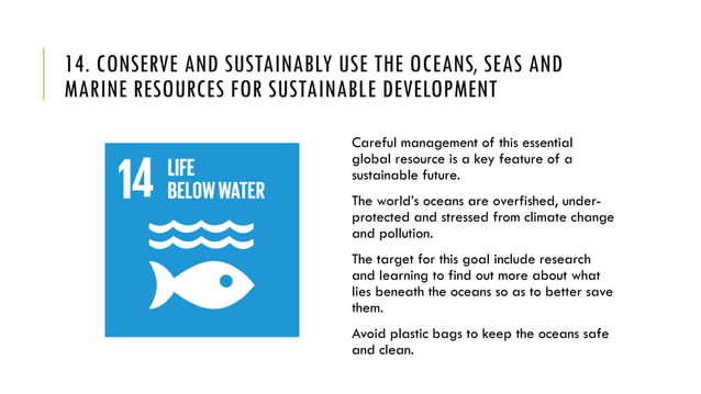 17 sustainable development goals SDG.pptx