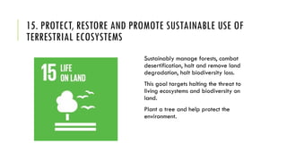 17 sustainable development goals SDG.pptx