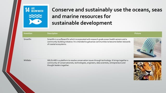 Sustainable Development Goals (SDGs) | PDF