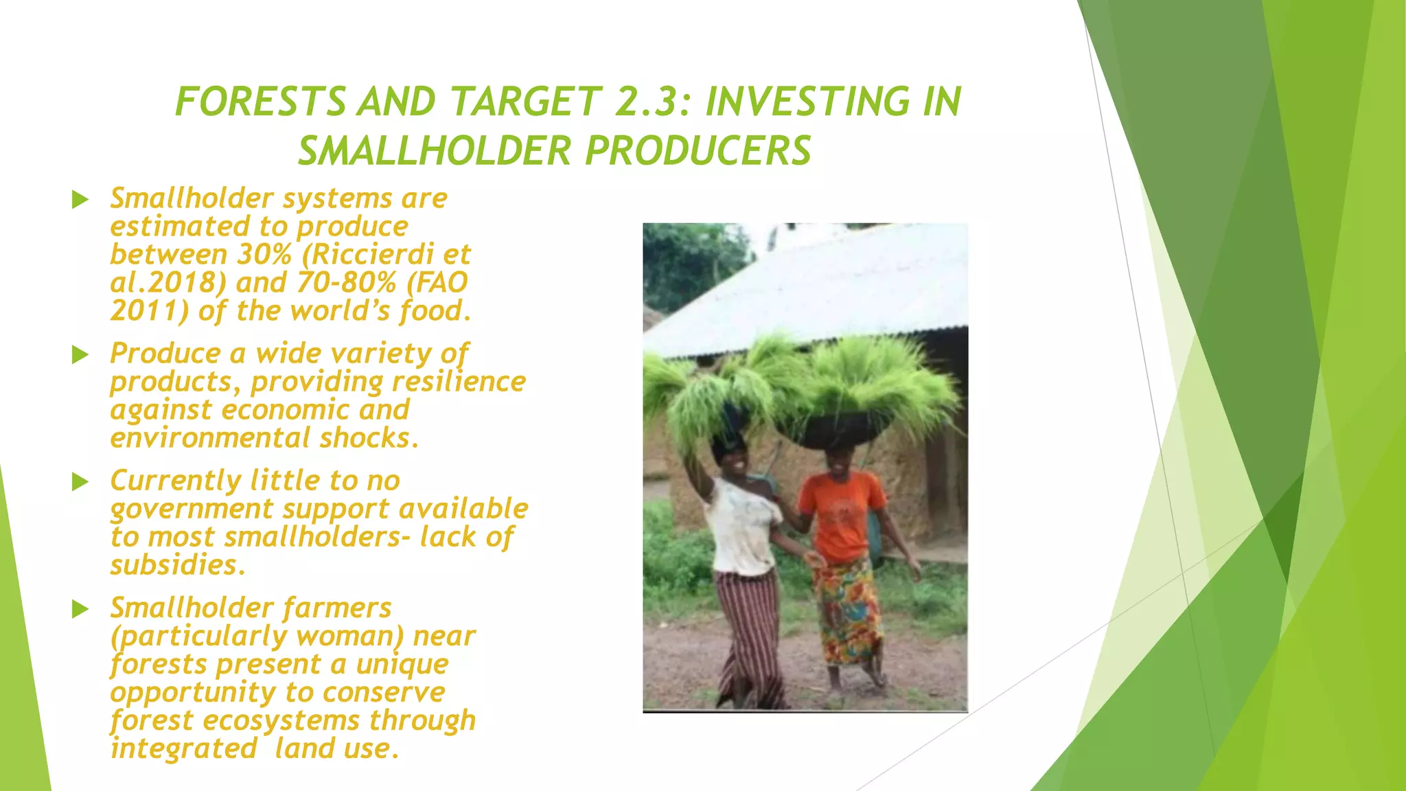 sustainable development Goals zero hunger.pptx