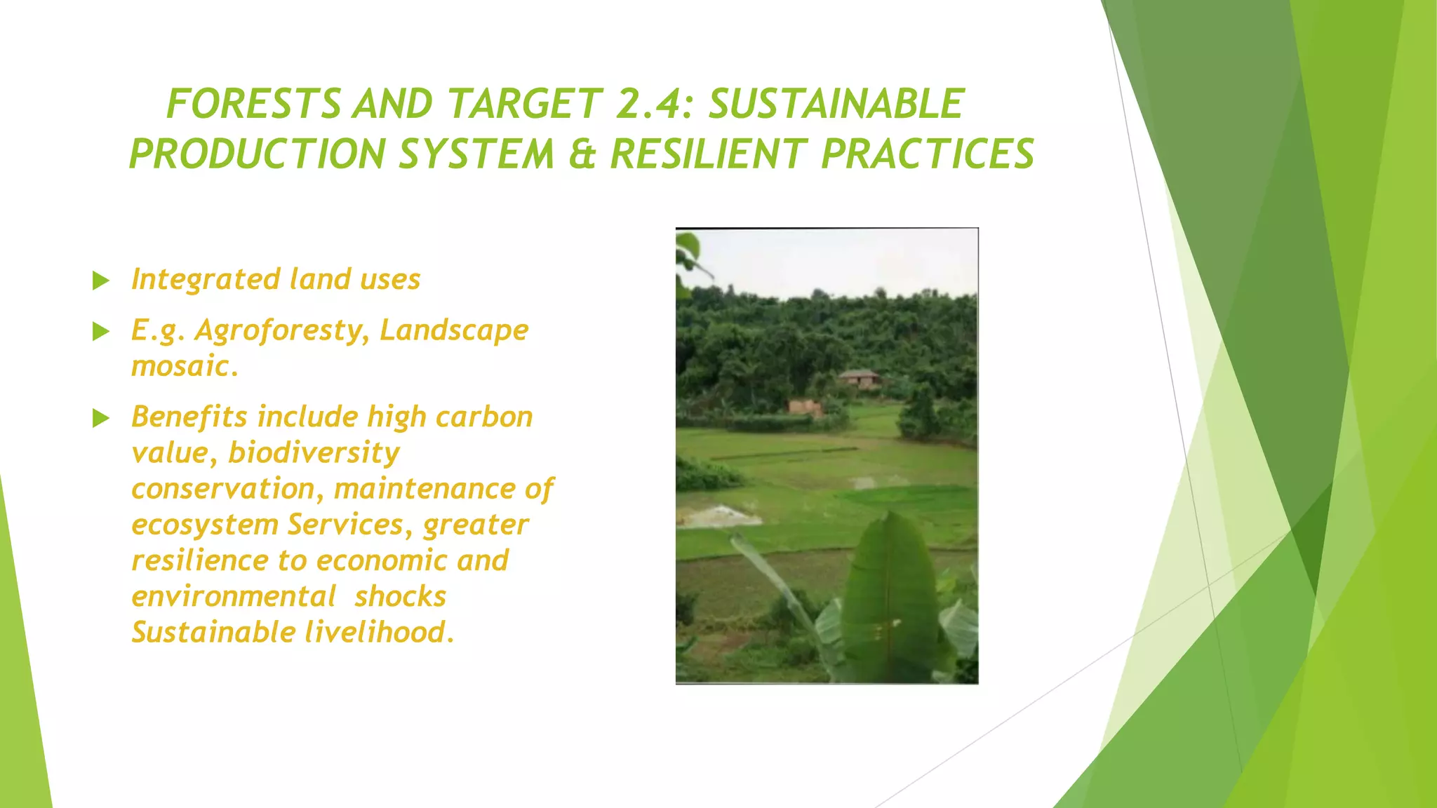 sustainable development Goals zero hunger.pptx