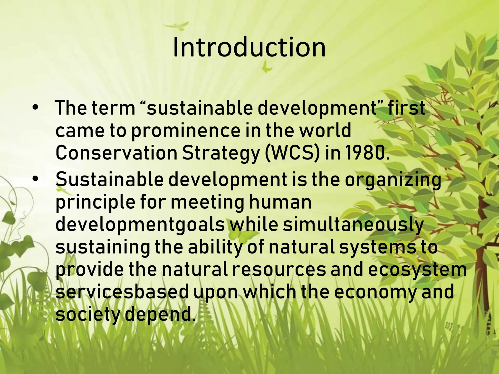 sustainable development ppt (046),10 (1).pptx