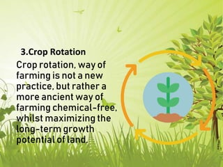 sustainable development ppt (046),10 (1).pptx