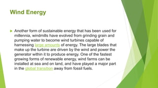 Sustainable development raj.pptx