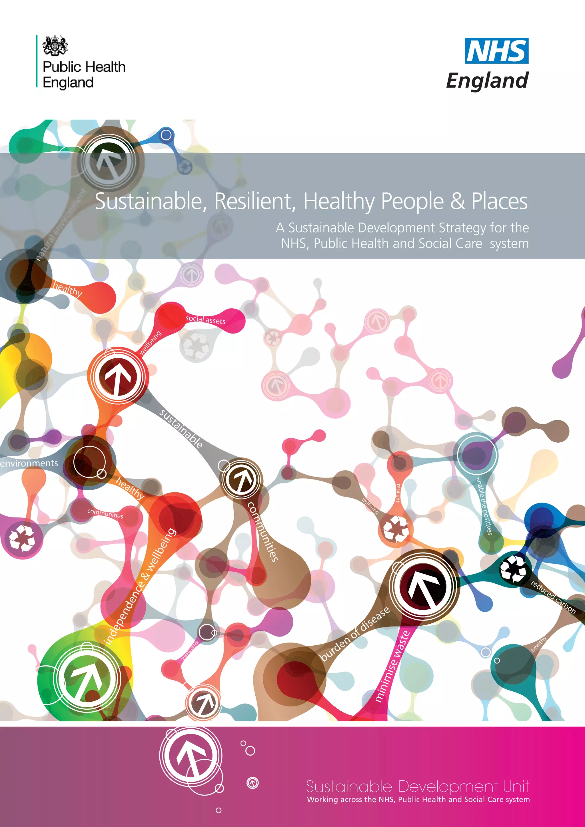 Sustainable development strategy for the NHS Jan 2014 | PDF