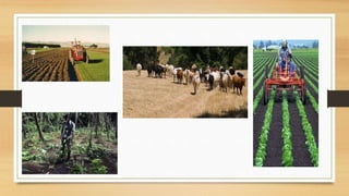 Sustainable development & The use of Resources | PPTX