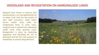 Concept and Pillars of Sustainable development | PPTX